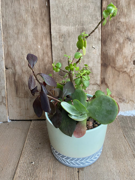 Mixed planter - small d – Down Home Flowers